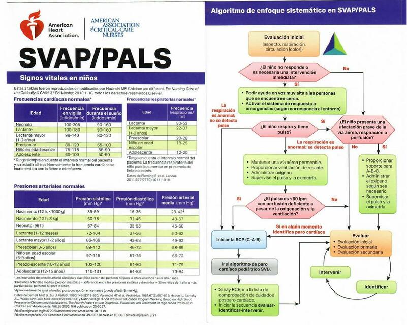 Signos vitales en niños | uDocz