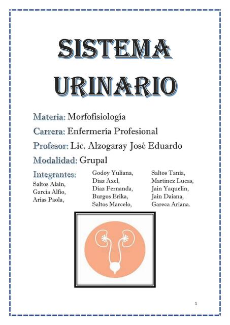 Sistema urinario | Marisol yanina Bassilonghi | uDocz