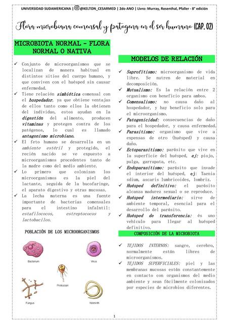 Flora Microbiana comensal | Kelton César | uDocz