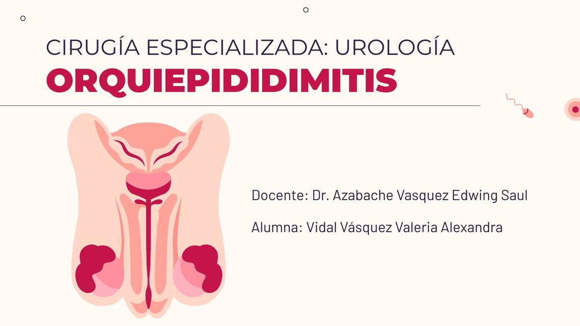 Orquiepididimitis | Valeria Vidal Vásquez | uDocz