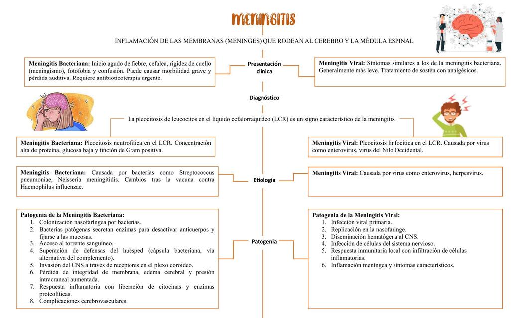 Tipos de meningitis | Anahí | uDocz