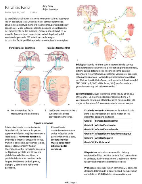 Parálisis Facial Amy Rojas | Amy Rojas | uDocz