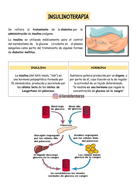 Insulinoterapia | Cecilia Mabel Sandiyú | uDocz