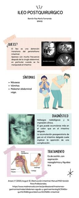 ILEOPOST QUIRURGICO | María Fernanda Barrón Paz | uDocz