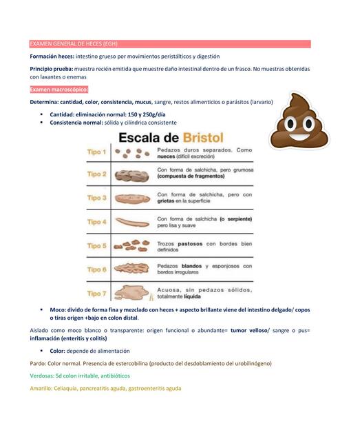 EXAMEN DE HECES | Human Medic | uDocz