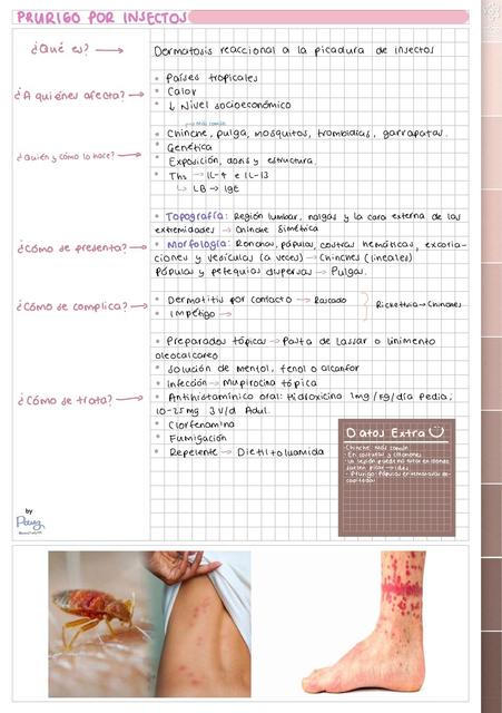 Prurigo por insectos en Dermatología | Paulina_mednotes | uDocz
