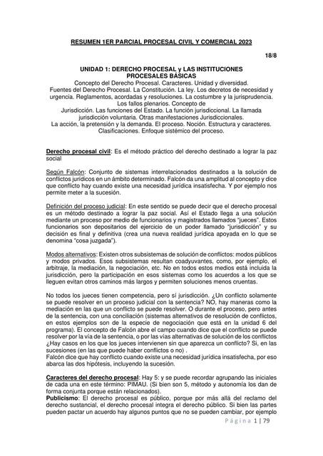 Resumen 1er Parcial Procesal Civil y Comercial | Daniela Bojorge | uDocz