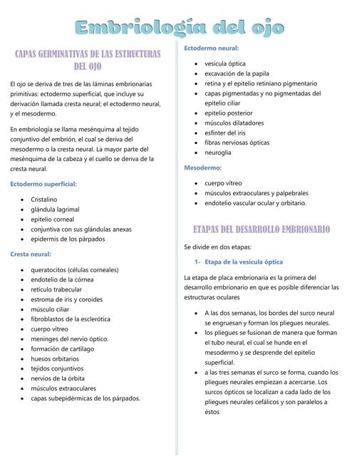 embriologia del ojo | Medfactory | uDocz