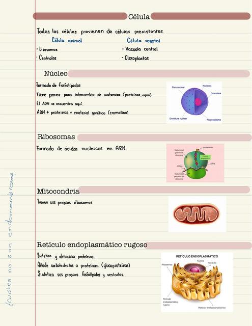 Biología General | Adrianela | uDocz