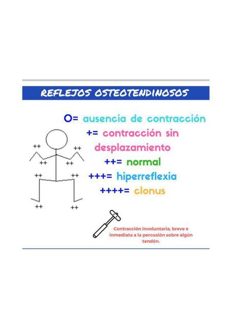 Reflejos Osteotendinosos | Carlos Pablo | uDocz