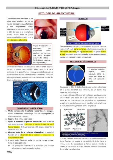 PATOLOGIA DE VITREO Y RETINA 1ra parte | MED STUDENT | uDocz