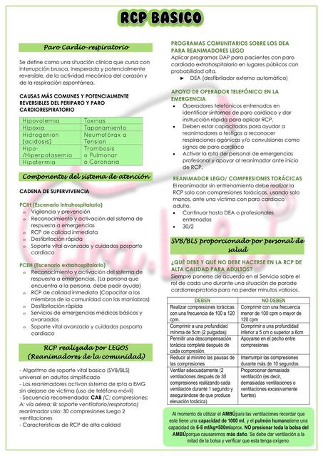 RCP Básica | Dra. Lulú | uDocz