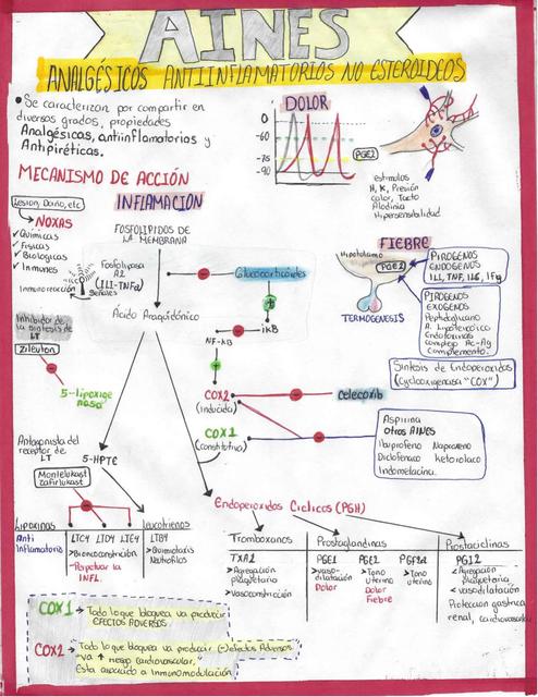 AINES (Analgésicos anti-inflamatorios no esteroideos) | Eleazar | uDocz