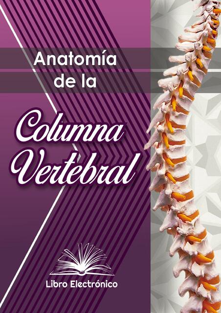 Flashcards de ANATOMIA DE LA COLUMNA VERTEBRAL | Por PP | uDocz