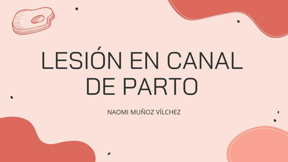 Lesion En El Canal De Parto Naomi Muñoz Udocz