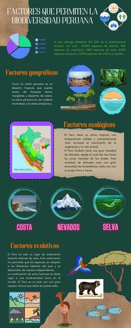 Infografia peruana | uDocz