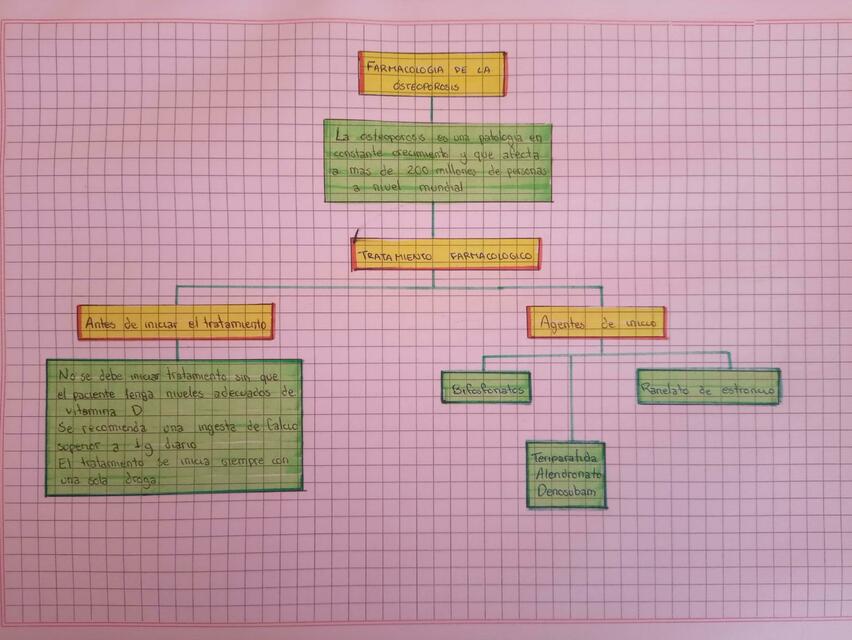 Farmacología de la osteoporosis Mapa conceptual | Lin Quenta | uDocz