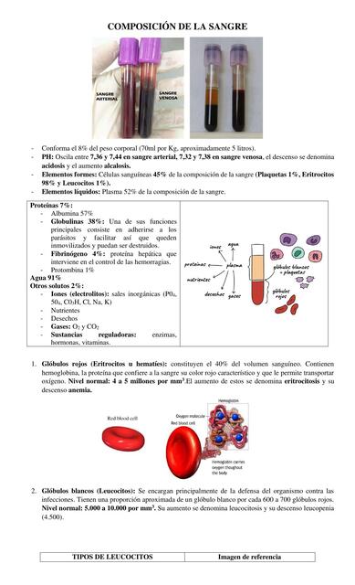 Composiciòn de la sangre y tubos de muestras | Isabel Tangarife Franco | uDocz