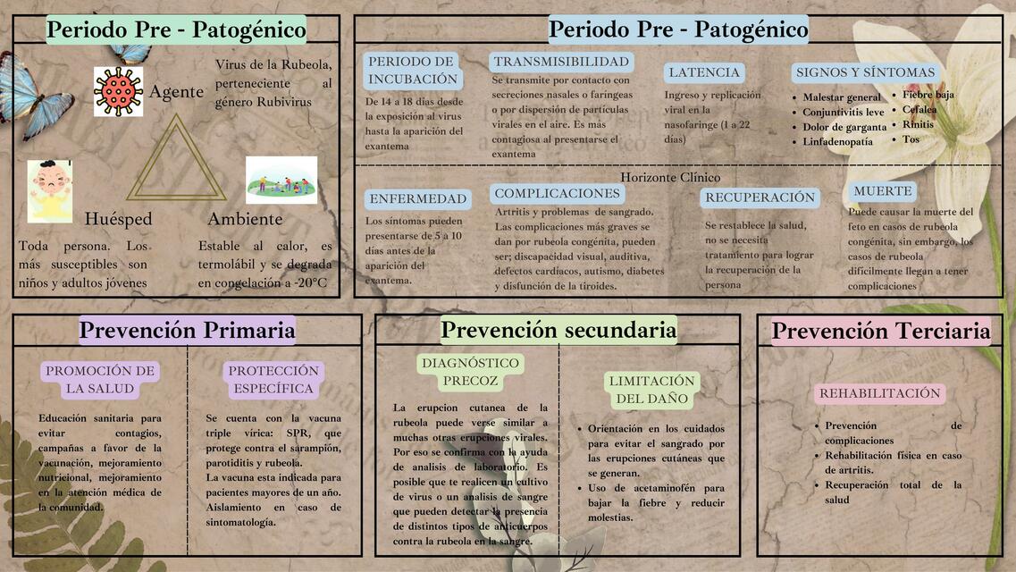 HISTORIA NATURAL DE LA ENFERMEDAD RUBÉOLA | Crístal Loroña | uDocz