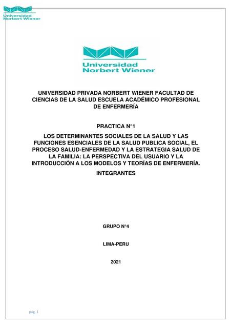 Informe Del Cuidado Enfermero Nursing Apuntes Udocz