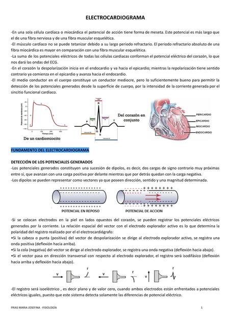 Fisiologa Bsica Electrocardiograma Interpretacin Eje