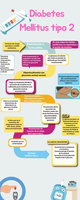 Diabetes Mellitus Tipo 2 | Estefany Guzman | uDocz