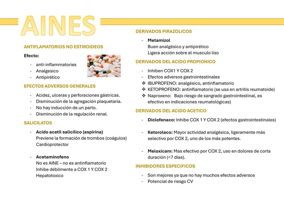 Aines | Erica AF | uDocz