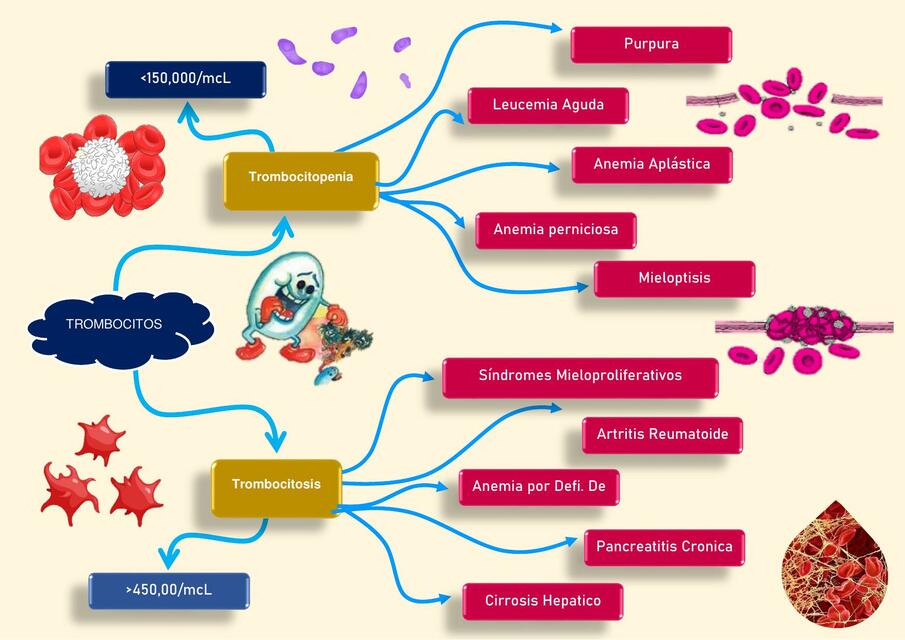 Trombocitosis | Doctorada11 | uDocz
