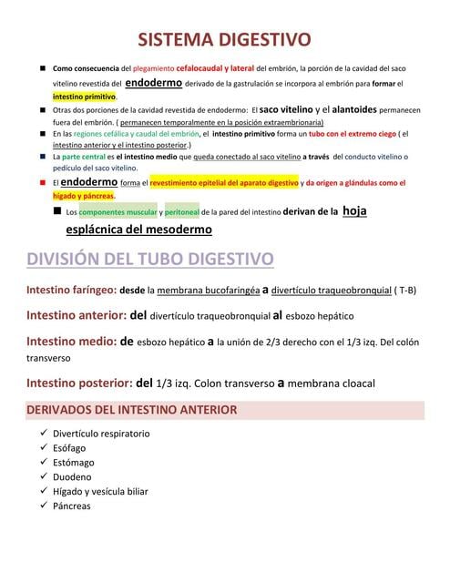 SISTEMA DIGESTIVO apuntes | SARAIH BAUTISTA CARRASCO | uDocz