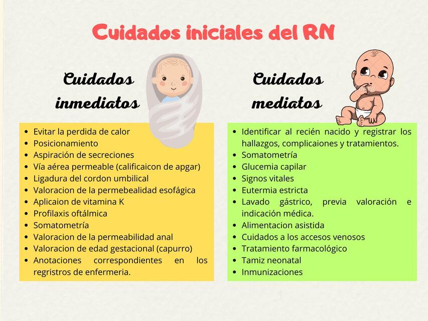 Cuidados iniciales del RN | Erica AF | uDocz
