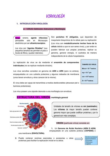 Introducción a la virología | uDocz