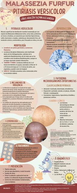 Infografía: Pitiriasis Versicolor | Yazmin LA | uDocz