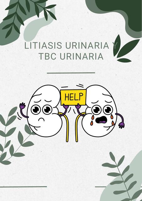 Litiasis urinaria y TBC genito urinaria | Luisana Aneth CR | uDocz