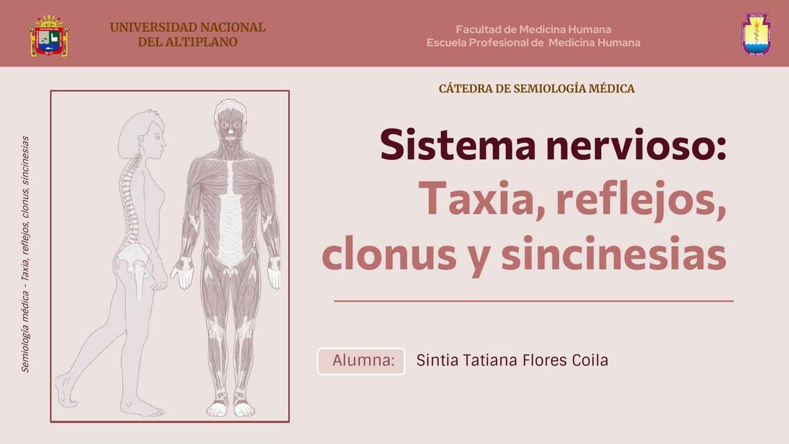 Semiología TAXIA REFLEJOS CLONUS Y SINCINESIAS | SINTIA TATIANA ...