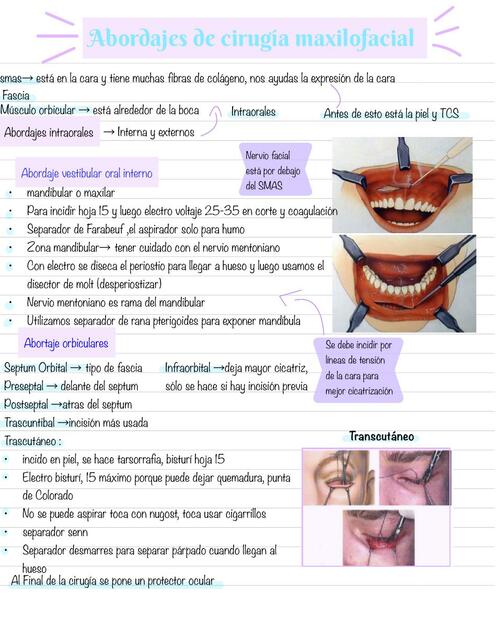 Abordajes CMF | laurav98o | uDocz