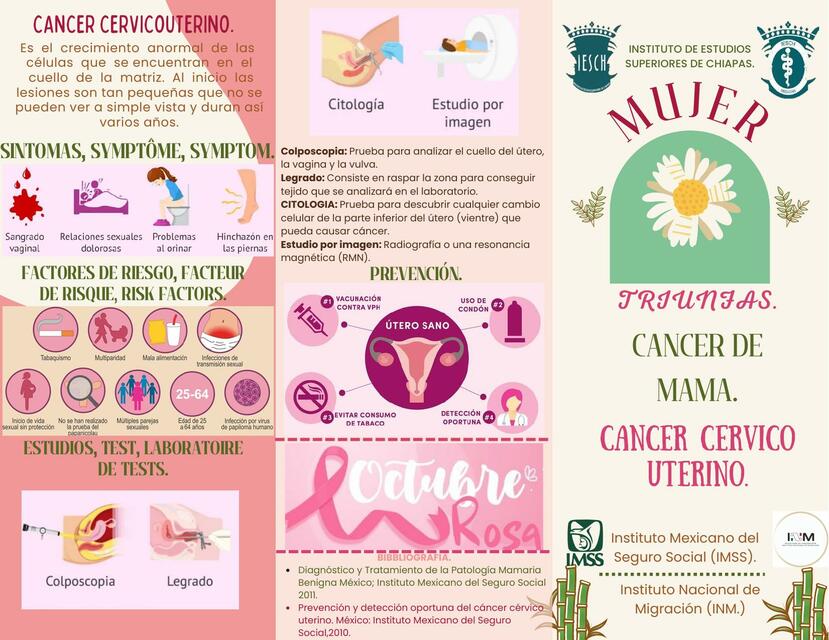 Cáncer de Mama- Cáncer Cérvico Uterino | Silvia Polet Hernández Ruiz | uDocz