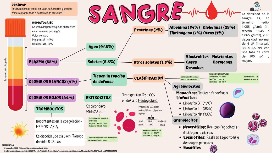 Sangre y sus componentes | Sandra Elizabeth Ballena Custodio | uDocz