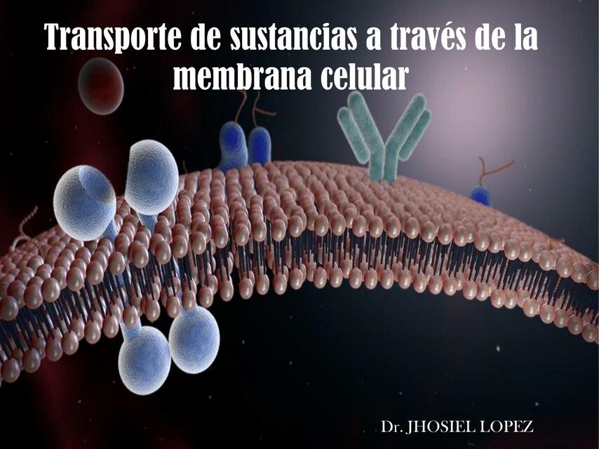 Transporte de Sustancias a Través de Membrana Celular | Neyser Sánchez ...