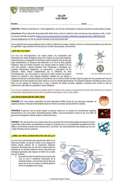 Los Virus | Shy | uDocz