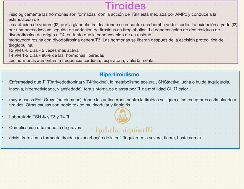 Tiroides | Medicina | uDocz