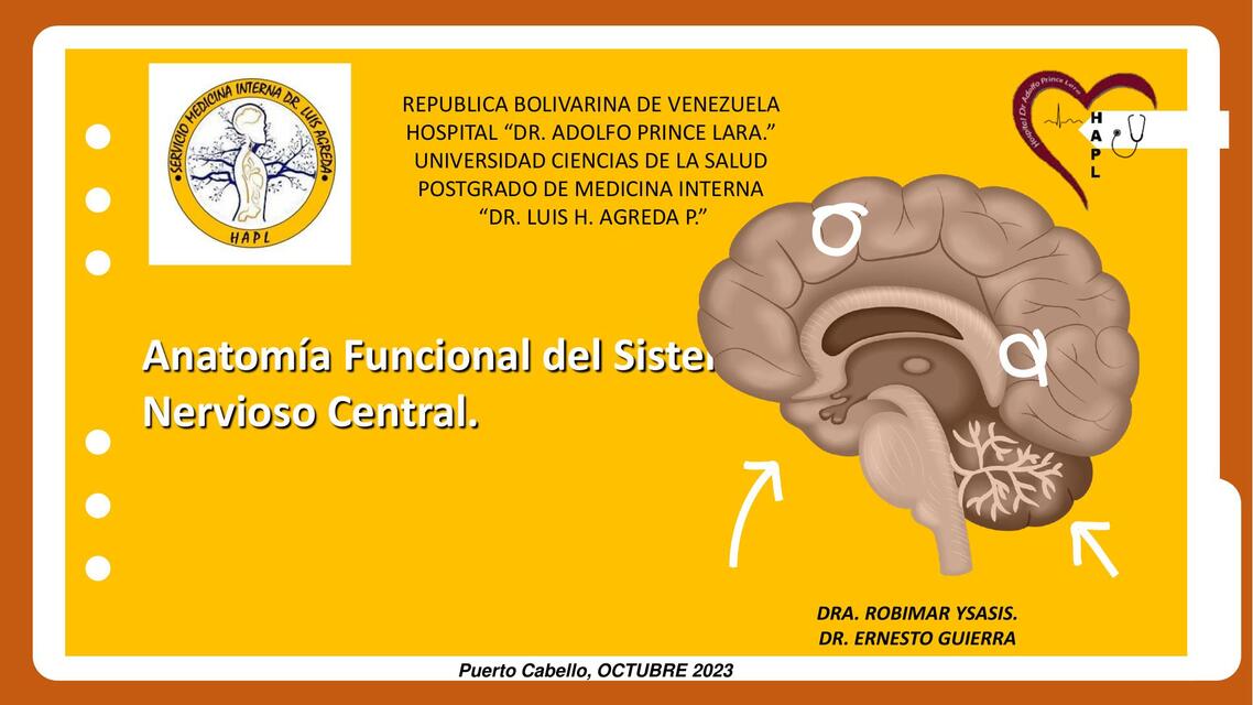 Anatomía Funcional del Sistema Nervioso Central | Robin Villavicencio ...