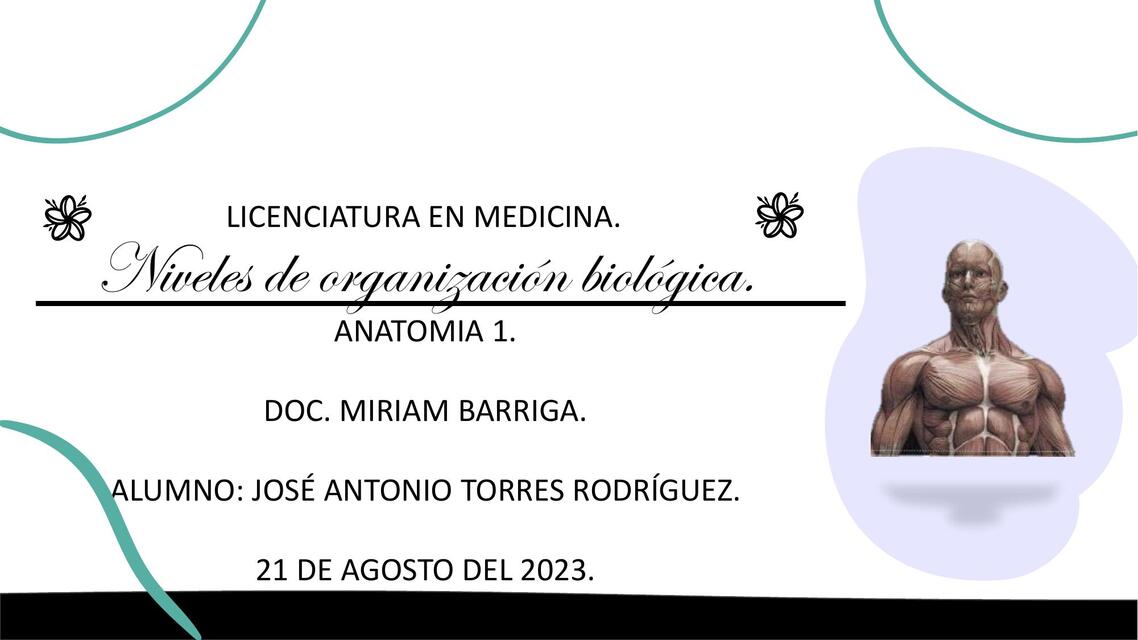 Niveles de organización biológica | Aigur Darez | uDocz