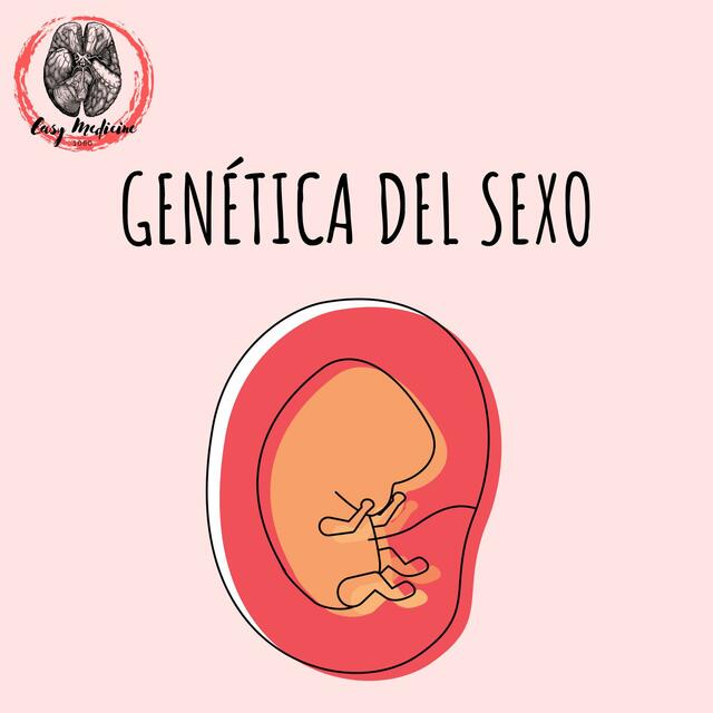 Genética del sexo | SCEM-UMSS Bolivia | uDocz