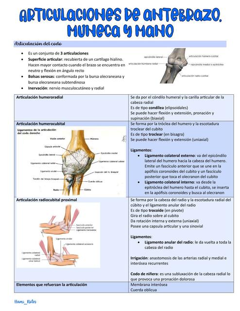 Articulaciones del antebrazo, muñeca y mano | Medi_Hami | uDocz