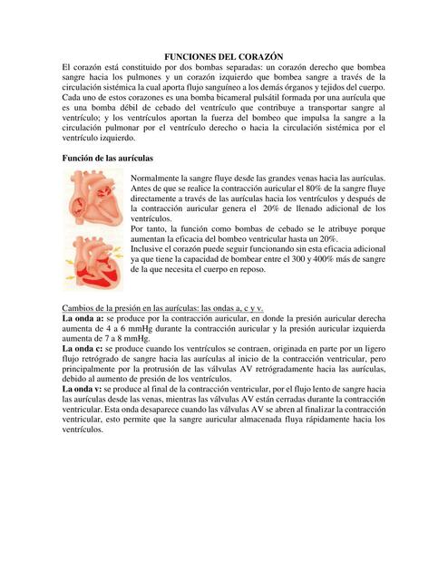 Funciones del Corazón-Fisiología | Ana Fernanda Zhindon Macas | uDocz