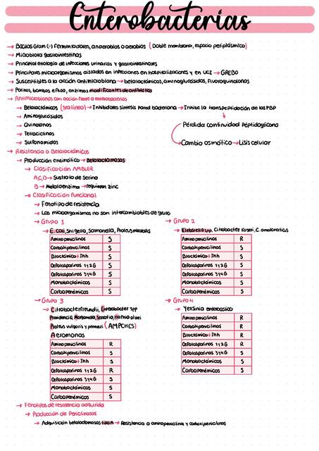 Enterobacterias | Val Zapata | uDocz