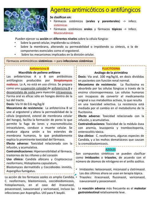 Antifungicos | @dr.lomito | uDocz