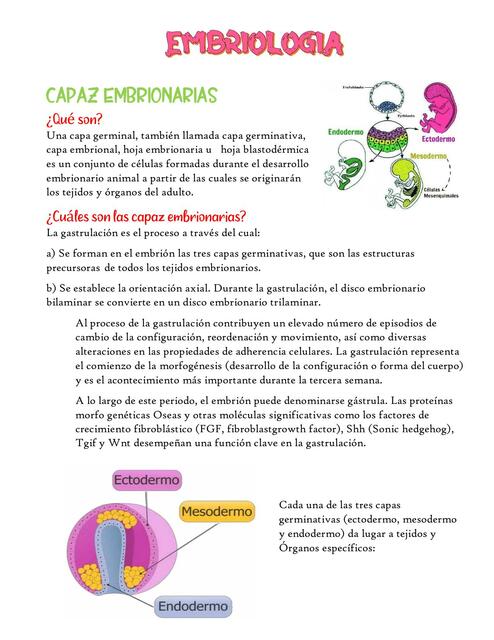 Capas Embrionarias | Angelica Luna Castro | uDocz