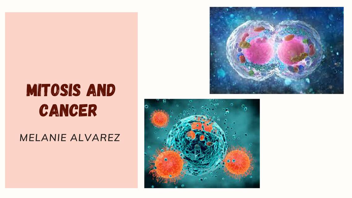 Mitosis and Cancer | Melanie Alvarez | uDocz