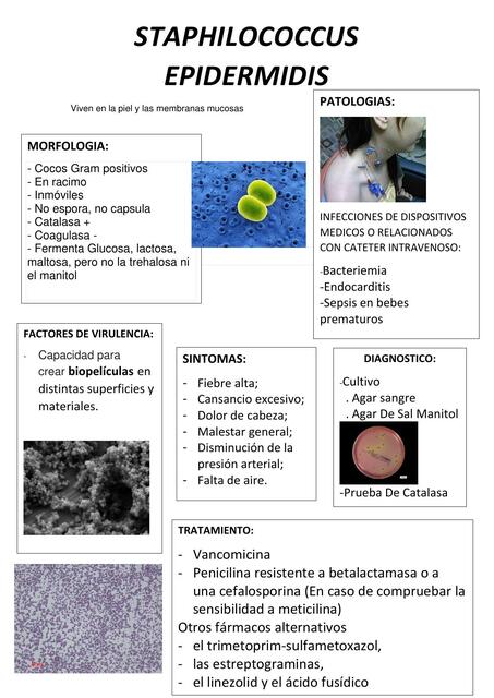 Staphilococcus epidermis | Mahely CR | uDocz